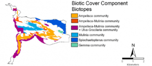 What is a benthic habitat map? | Center for Coastal Studies