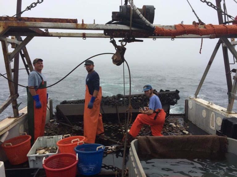 Marine Fisheries Research | Center for Coastal Studies