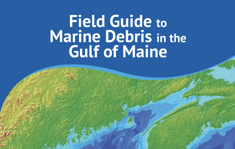 US and Canadian partners produce first-ever Field Guide to Marine ...