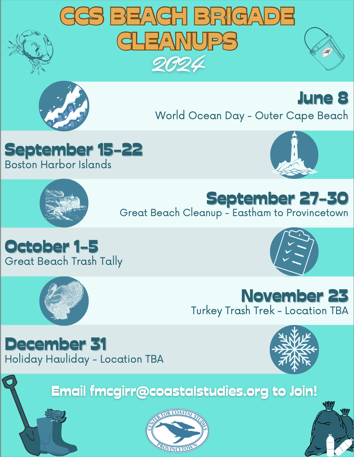 Beach Cleanups | Center for Coastal Studies